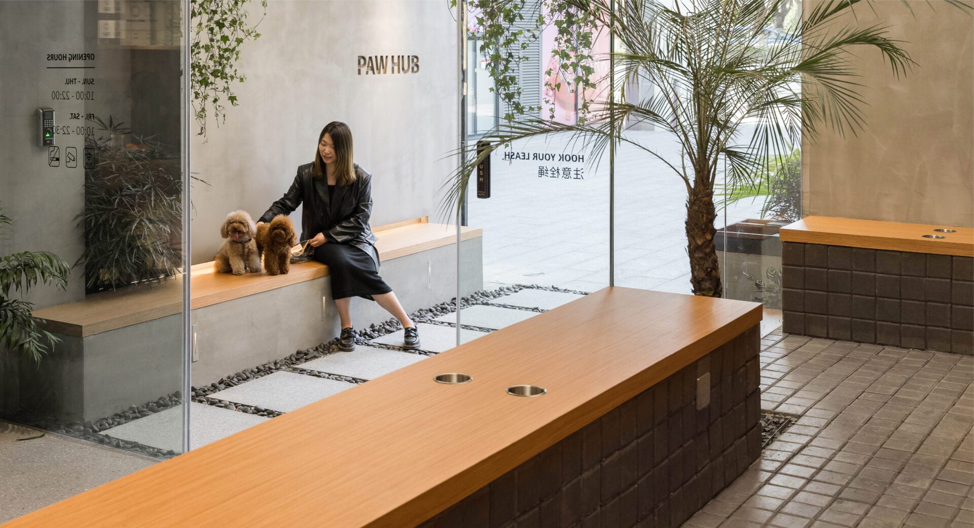 PAW HUB | LOOP Design Awards