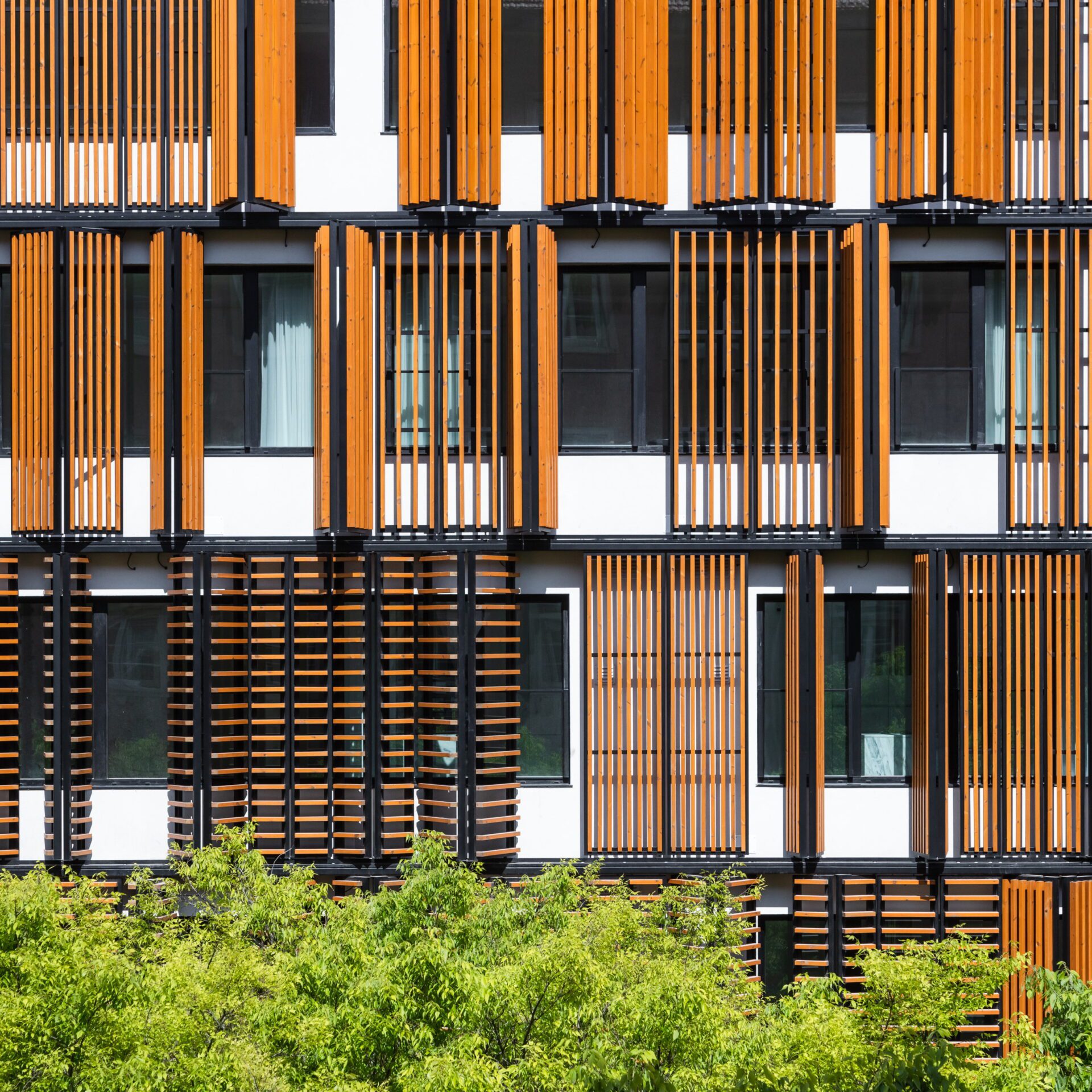 Lisbon Wood | LOOP Design Awards