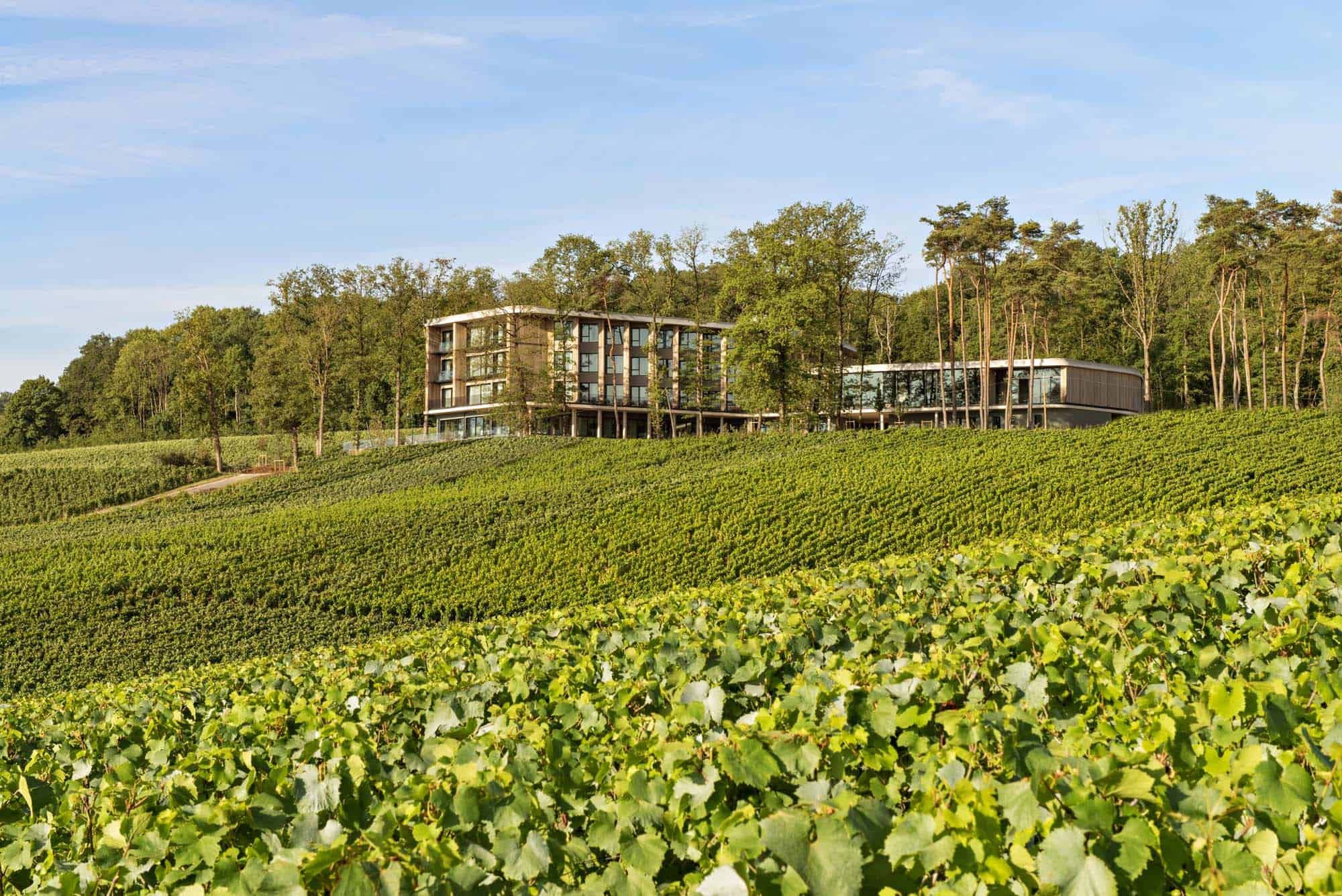 Mutigny Resort Hotel | LOOP Design Awards