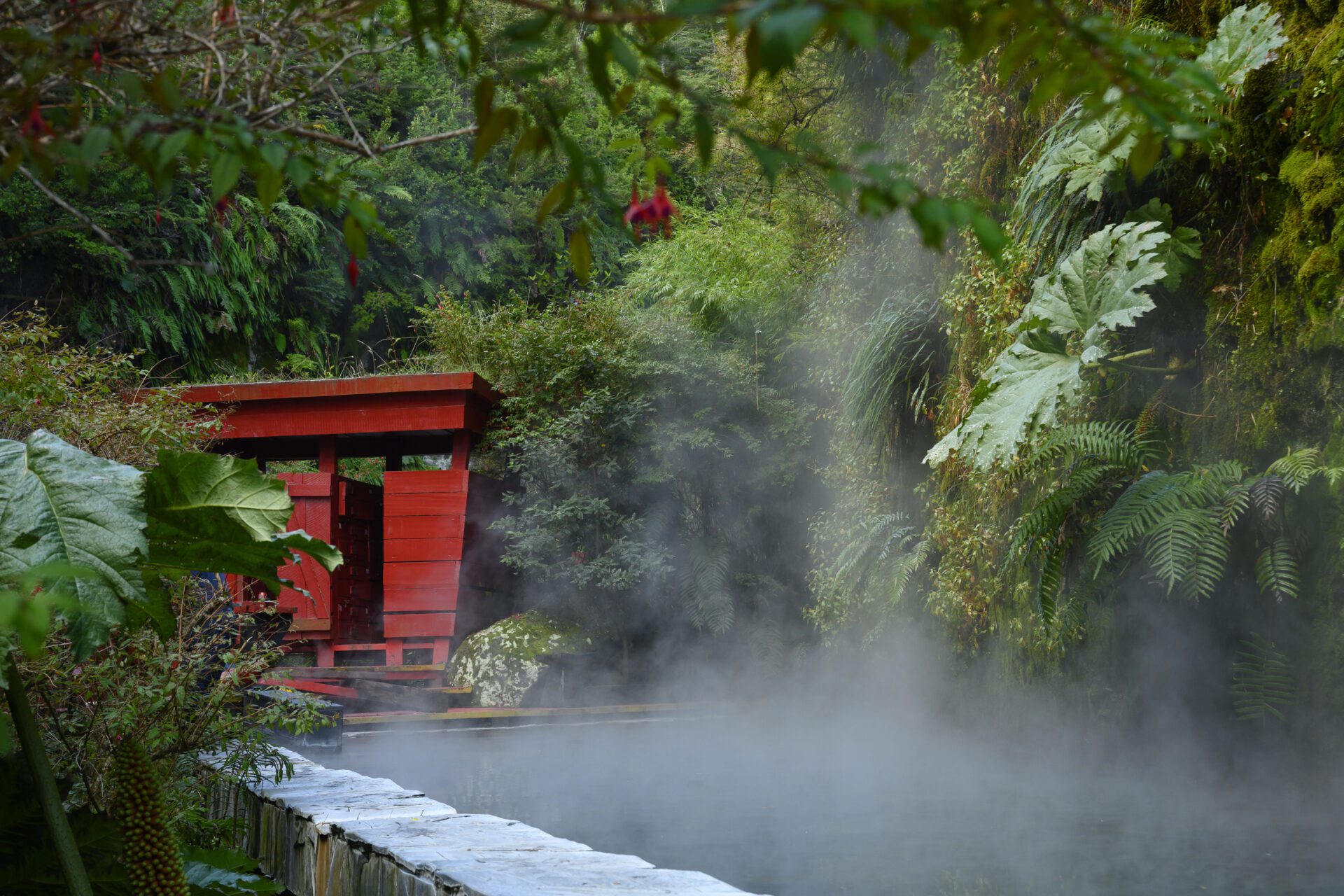 Termas Geométricas | LOOP Design Awards
