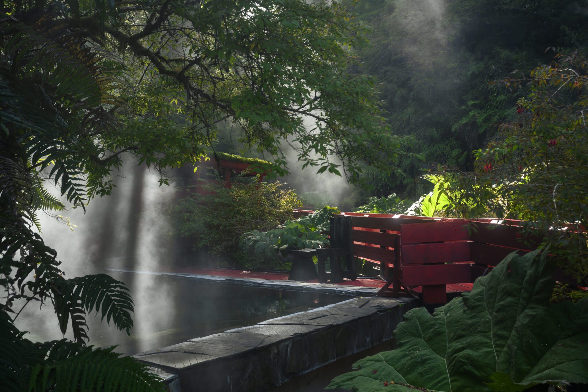 Termas Geométricas | LOOP Design Awards